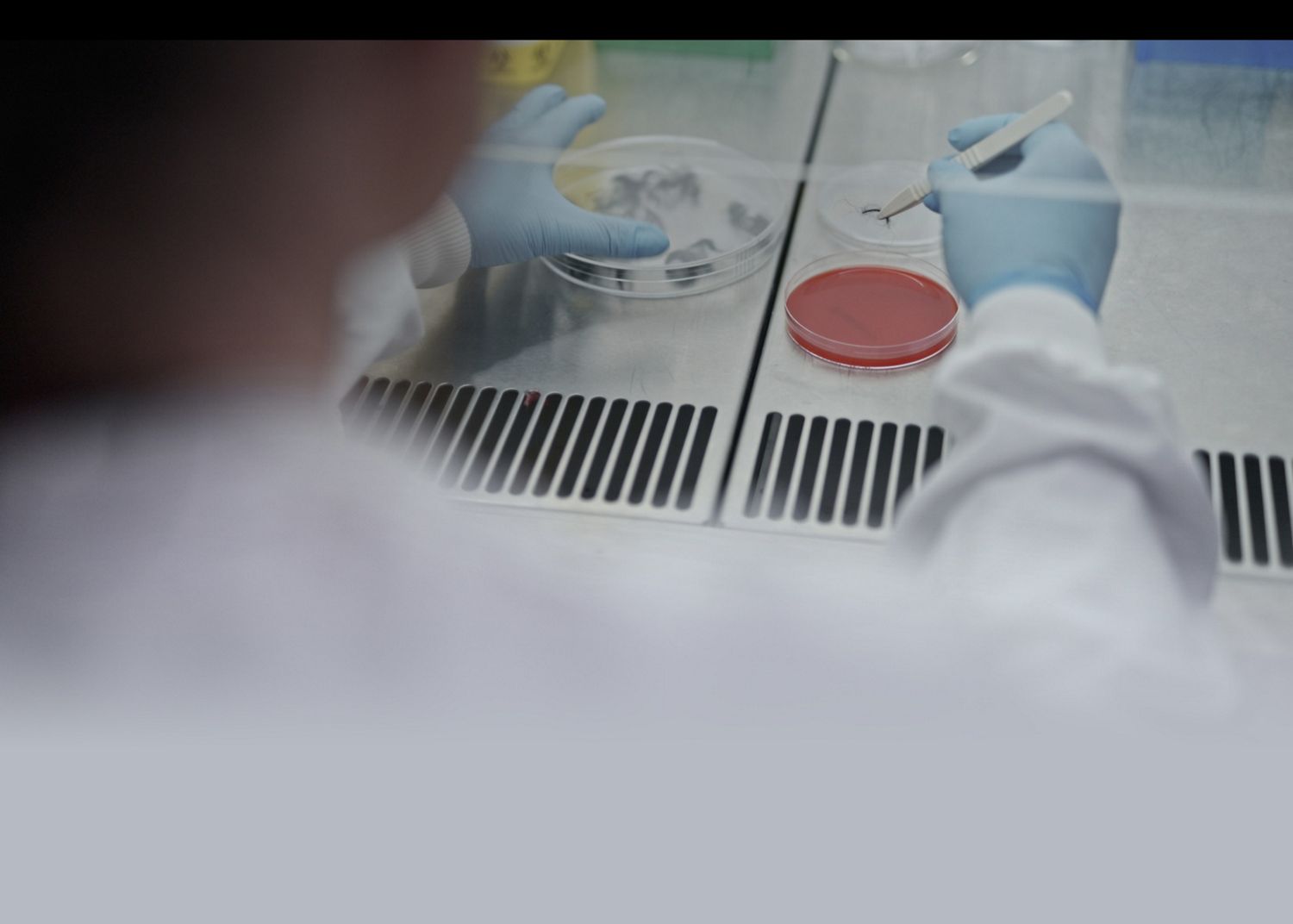 Pet Vacuum Cleaners | Dyson