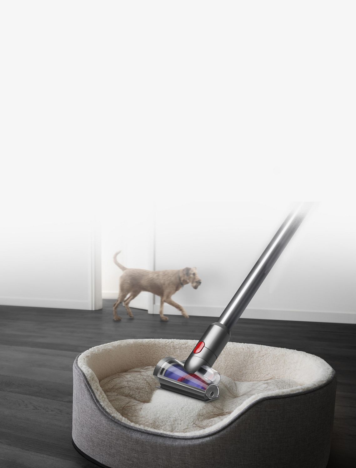 Aspirateurs pour poils d'animaux | Dyson.fr