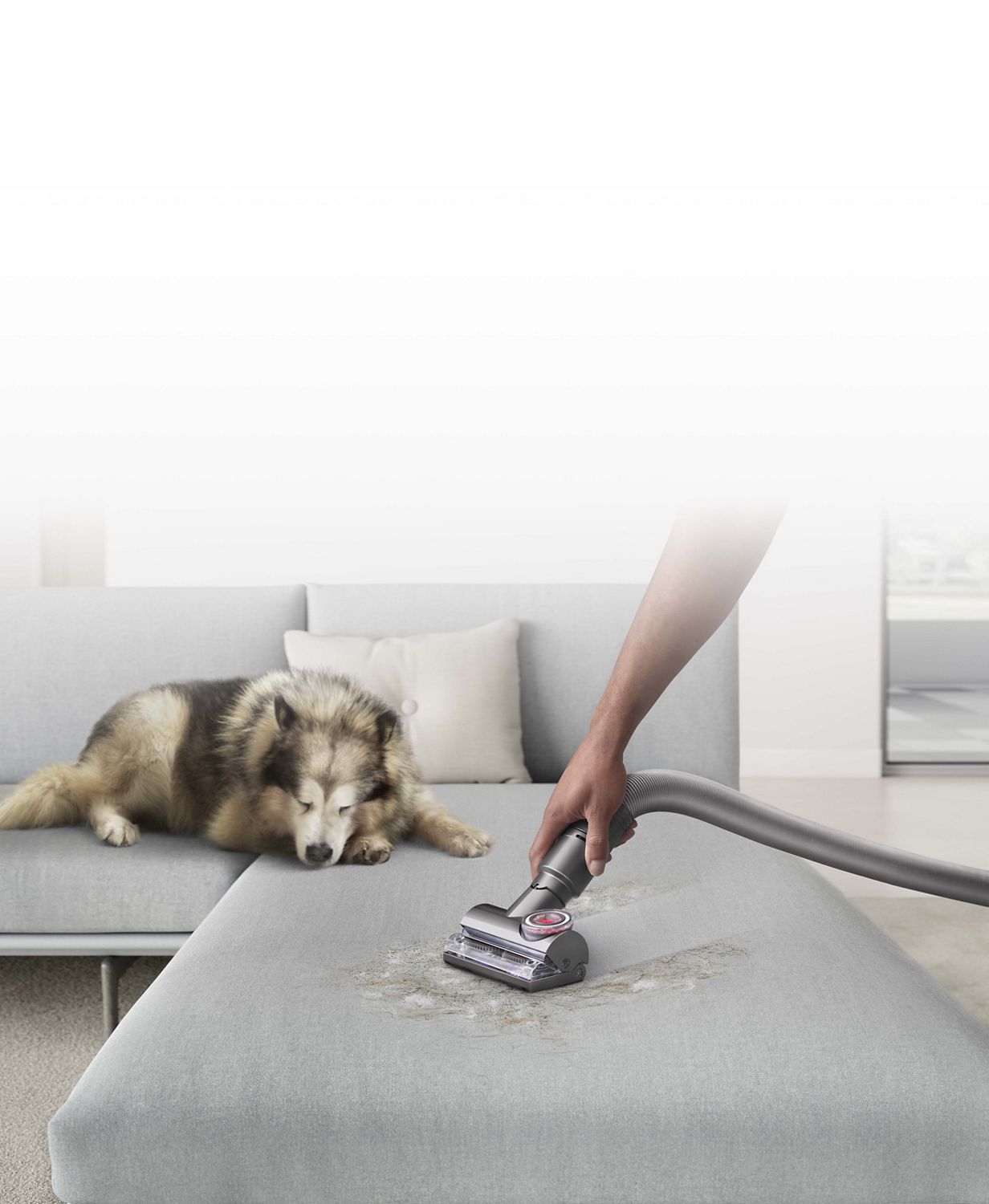 Aspirateurs pour poils d'animaux | Dyson.fr