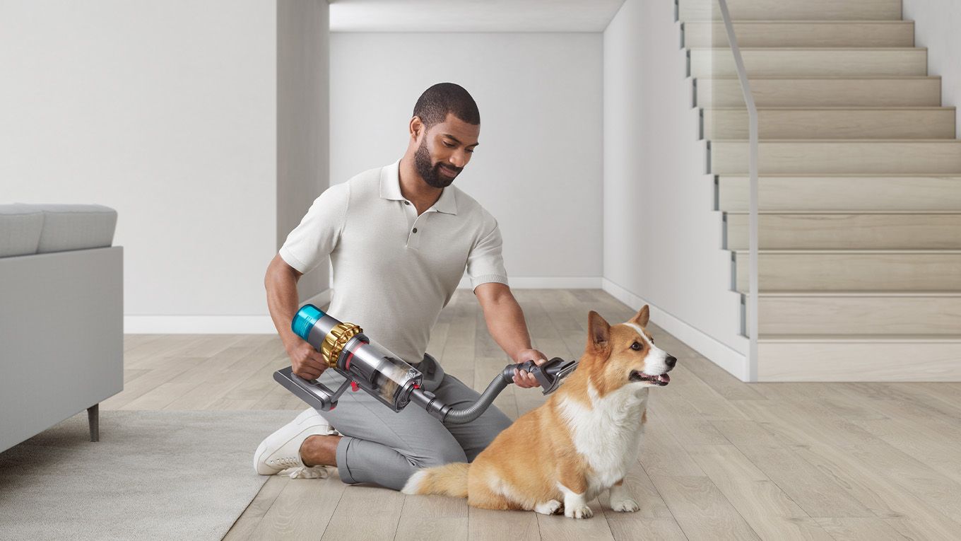 Dog grooming tips for owners with a pet allergy | Discover Dyson