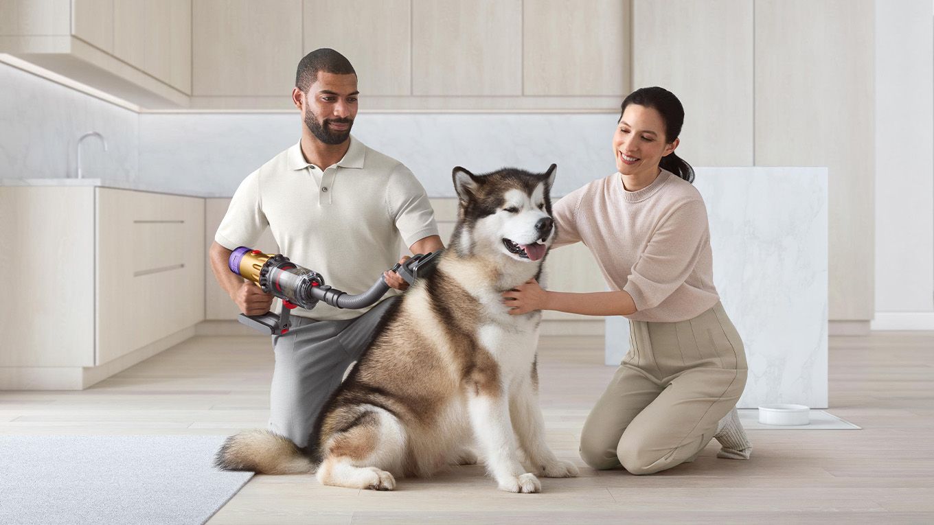 Allergy | Dyson