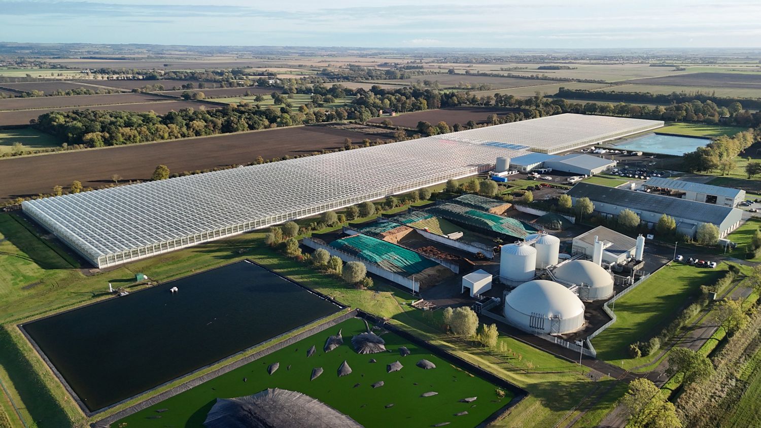 Dyson engineers boost strawberry yields by 250% in technology breakthrough