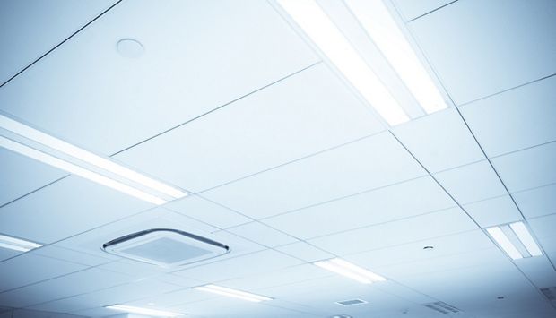 Cu-Beam Duo Suspended Light For Businesses | Dyson Australia
