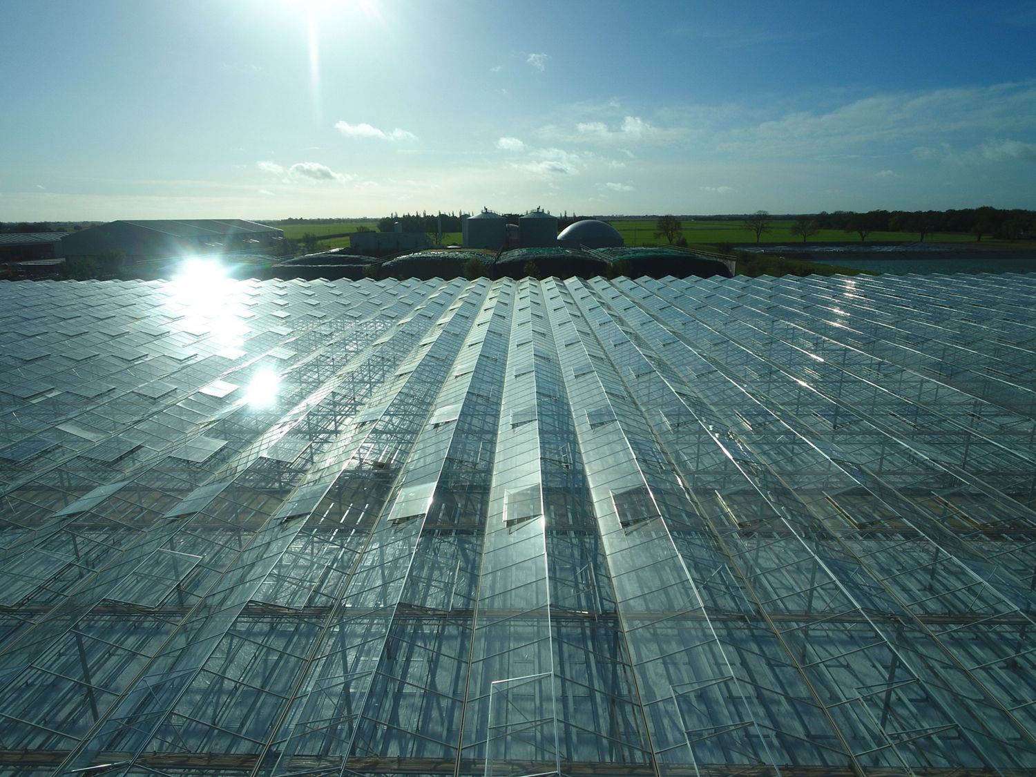 Dyson | Dyson Farming produces its first sustainable, technology ...