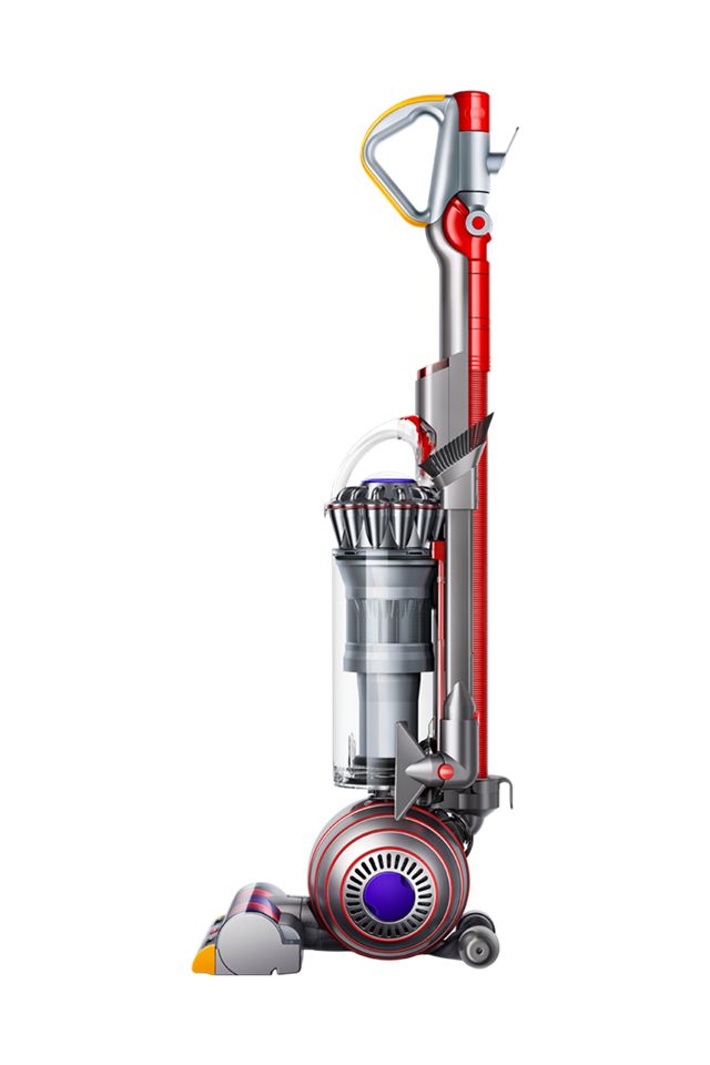 dyson animal 2 problems