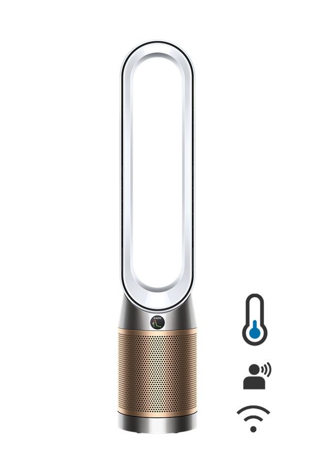 Dyson air cleaner reviews store