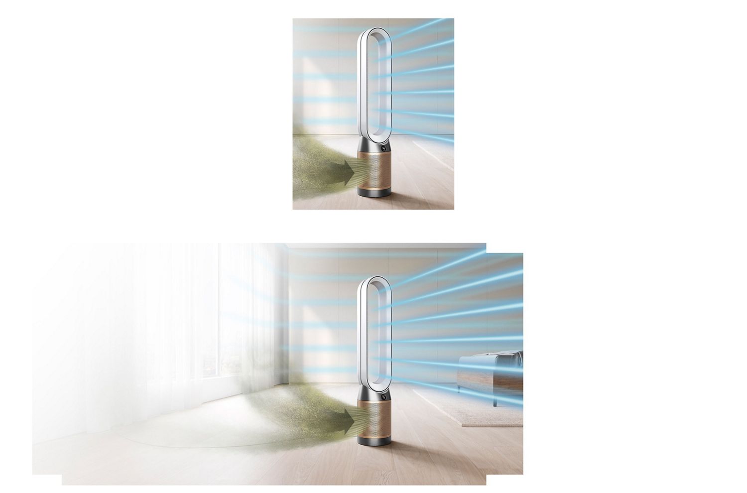 Cadr dyson store