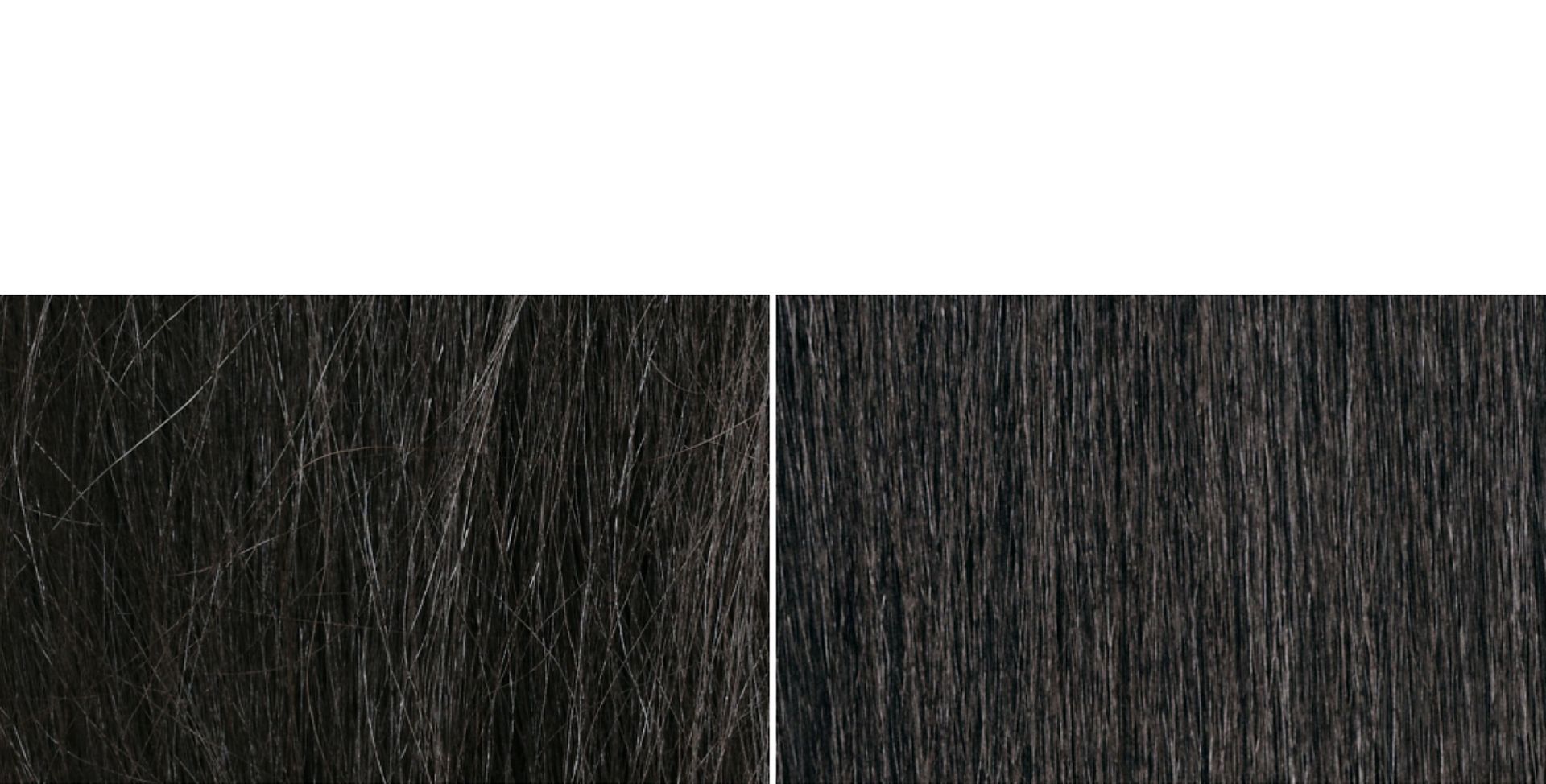 Shop new Dyson Omega™ nourishing hair care products | Dyson Australia