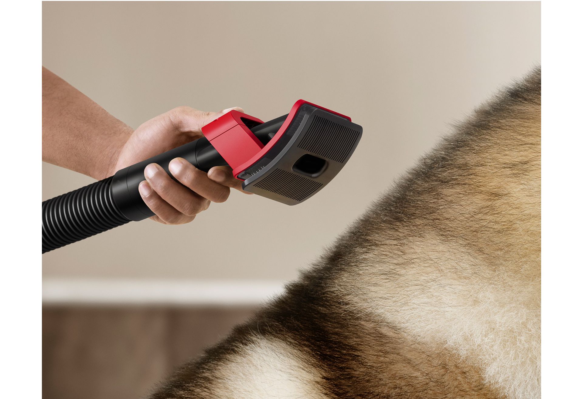 Dyson V16 Piston Animal Pet Grooming kit | Dyson Australia