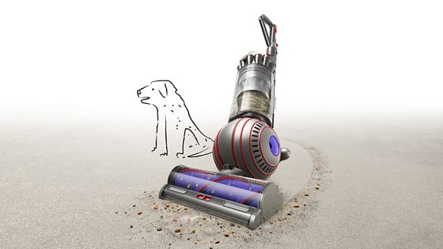 dyson animal 3 problems